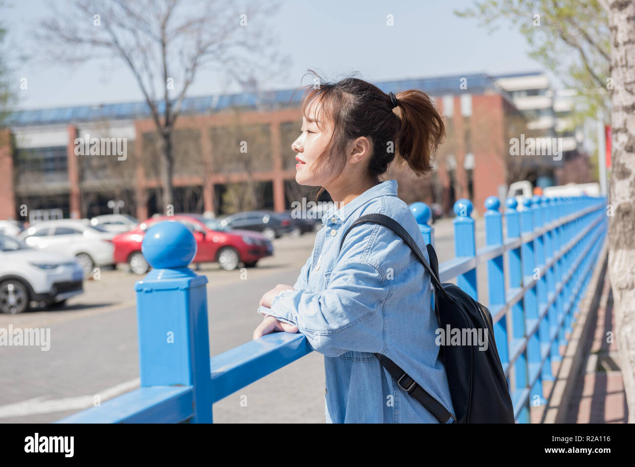 Chinese girl asian beauty posing hi-res stock photography and images ...