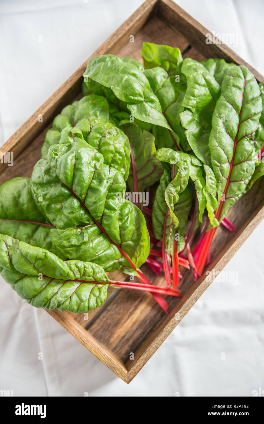 fresh organic rainbow swiss chard Stock Photo - Alamy