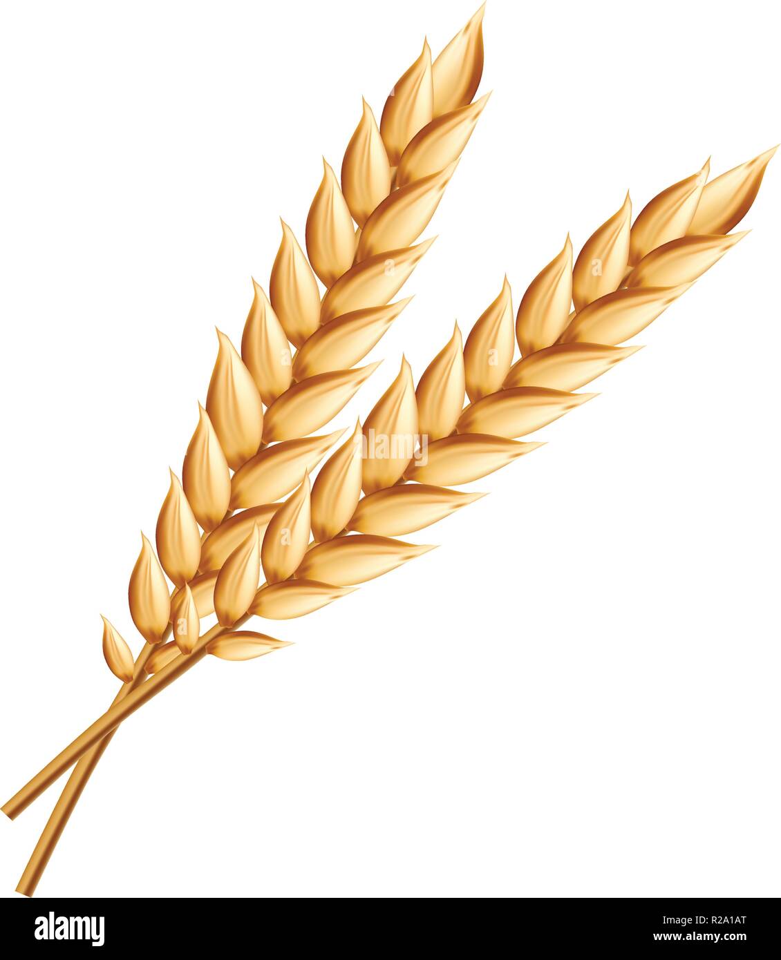 Wheat Icon Realistic Illustration Of Wheat Vector Icon For Web Design Isolated On White
