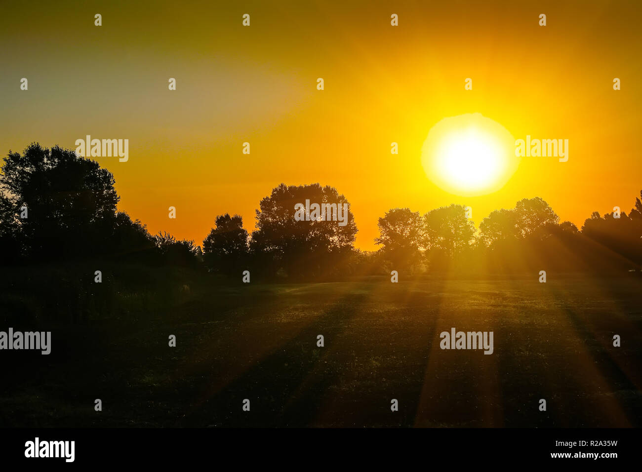 Sunrise over forest field hi-res stock photography and images - Alamy
