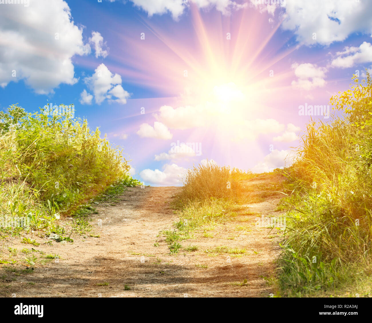 Summer landscape with green grass, road and clouds Stock Photo - Alamy