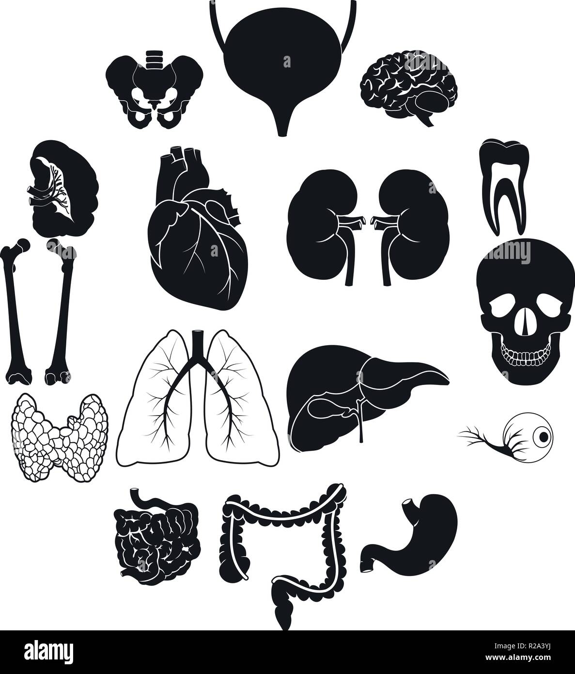 Internal organs black simple icons set for web and mobile devices Stock ...