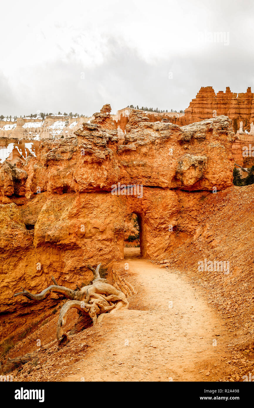 Footpath erosion in grand canyon hi-res stock photography and images ...