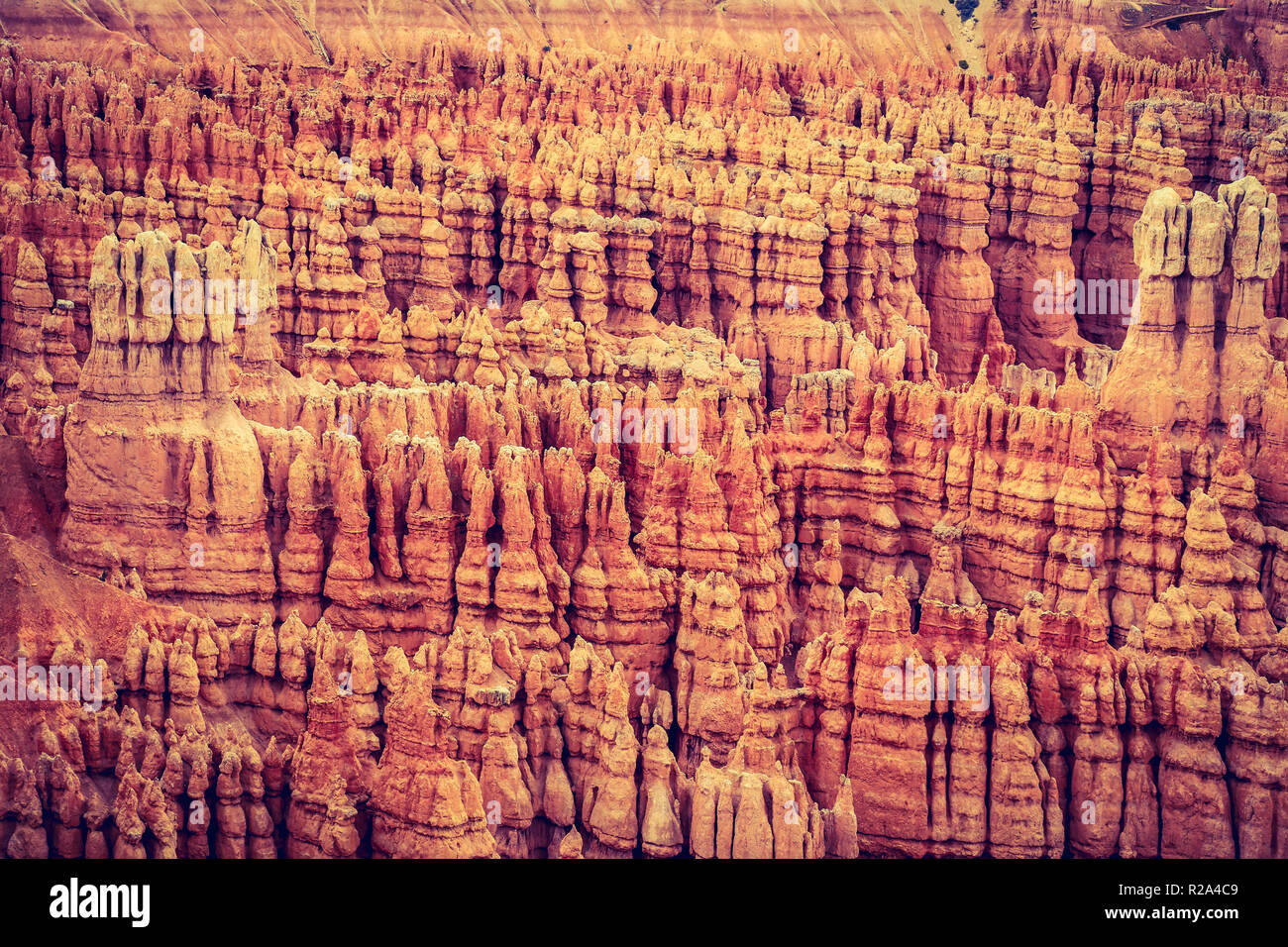natural amphitheatre with rocks hoodoos in bryce canyon national park ...