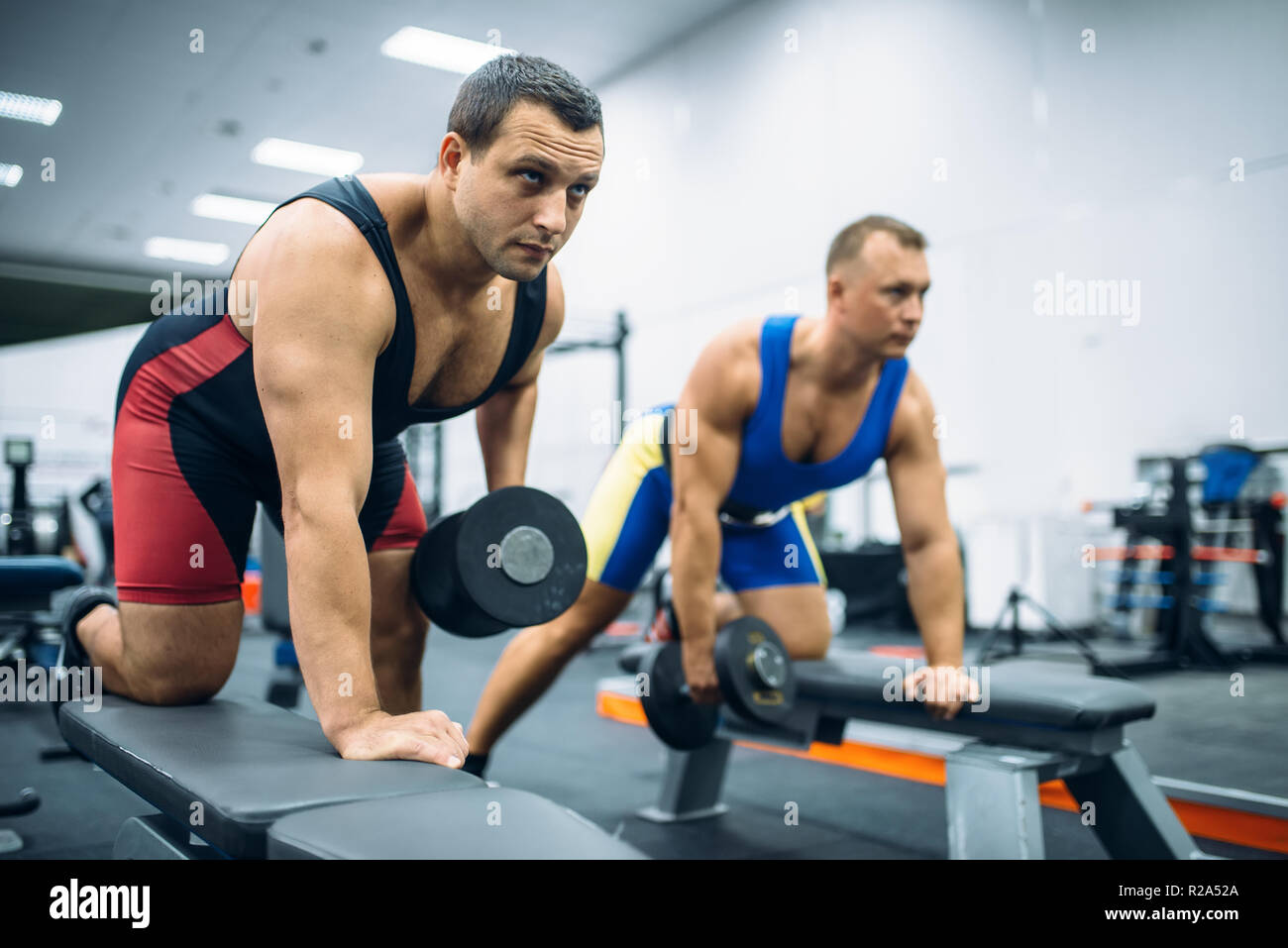 Two male weightlifters doing exercise on bench with dumbbell, gym ...