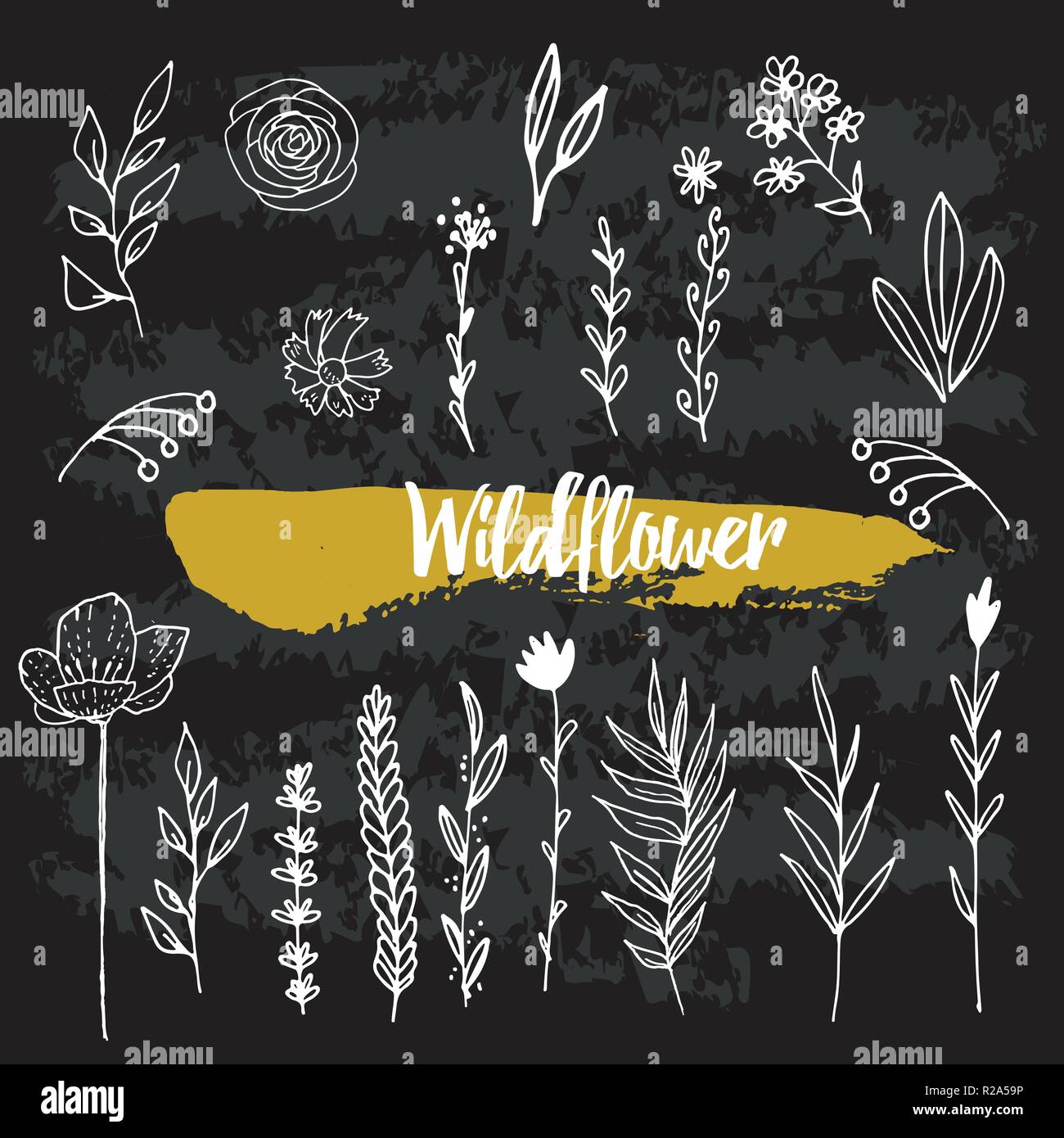 Collection of Hand Drawn Wild Flowers Stock Vector Image & Art - Alamy