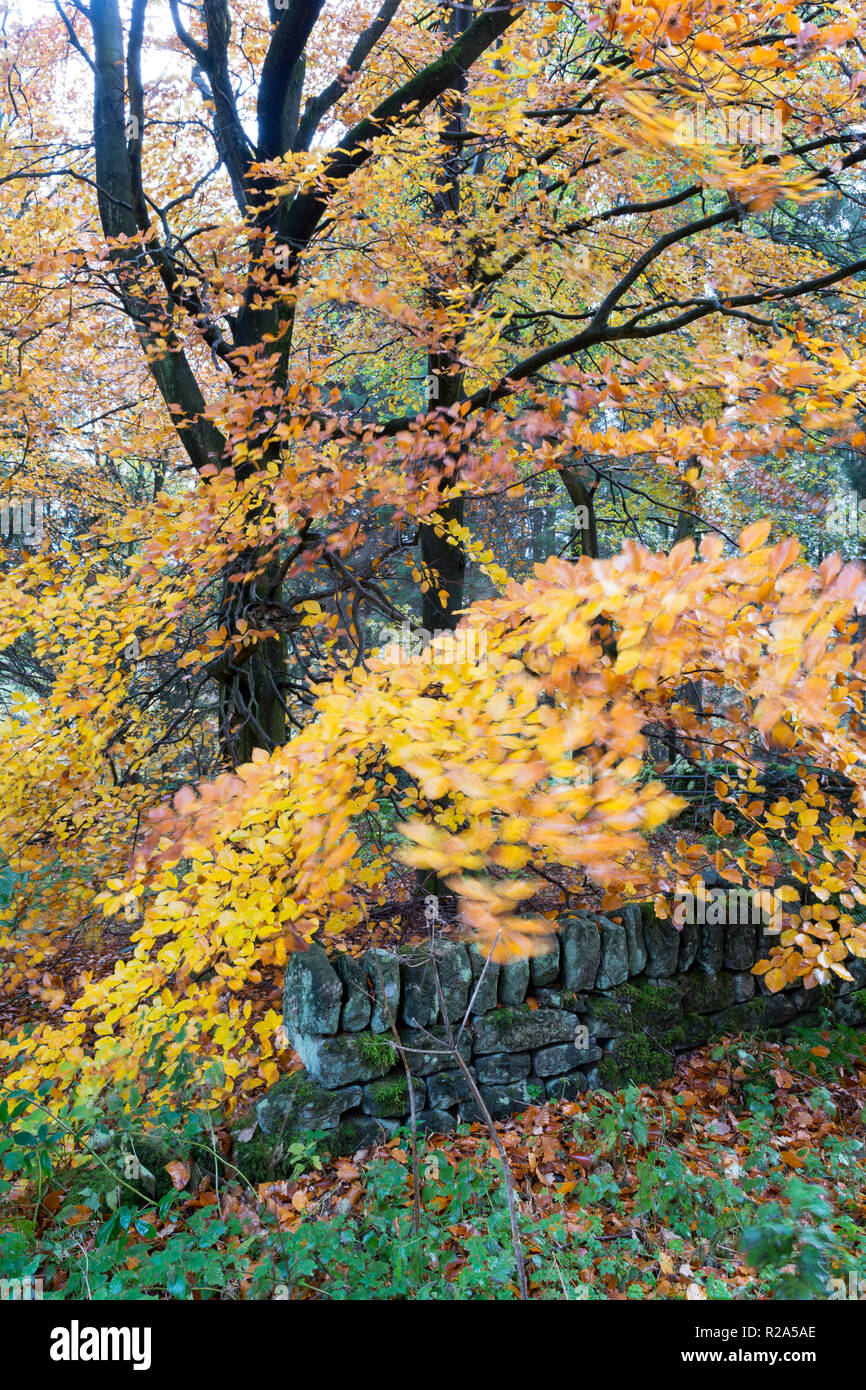 Strines bridge hi-res stock photography and images - Alamy