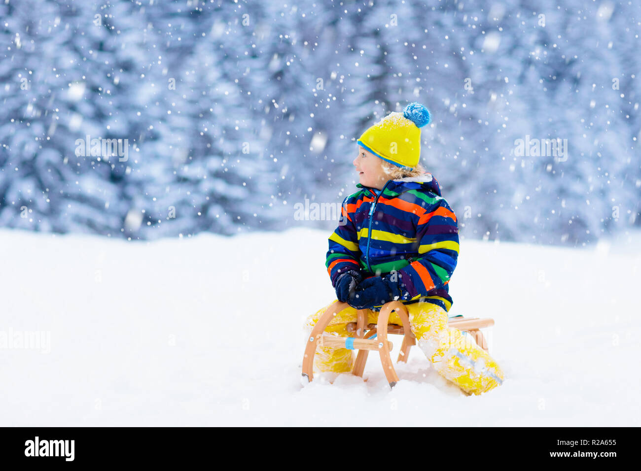 Little boy enjoying a sleigh ride. Child sledding. Toddler kid riding a ...
