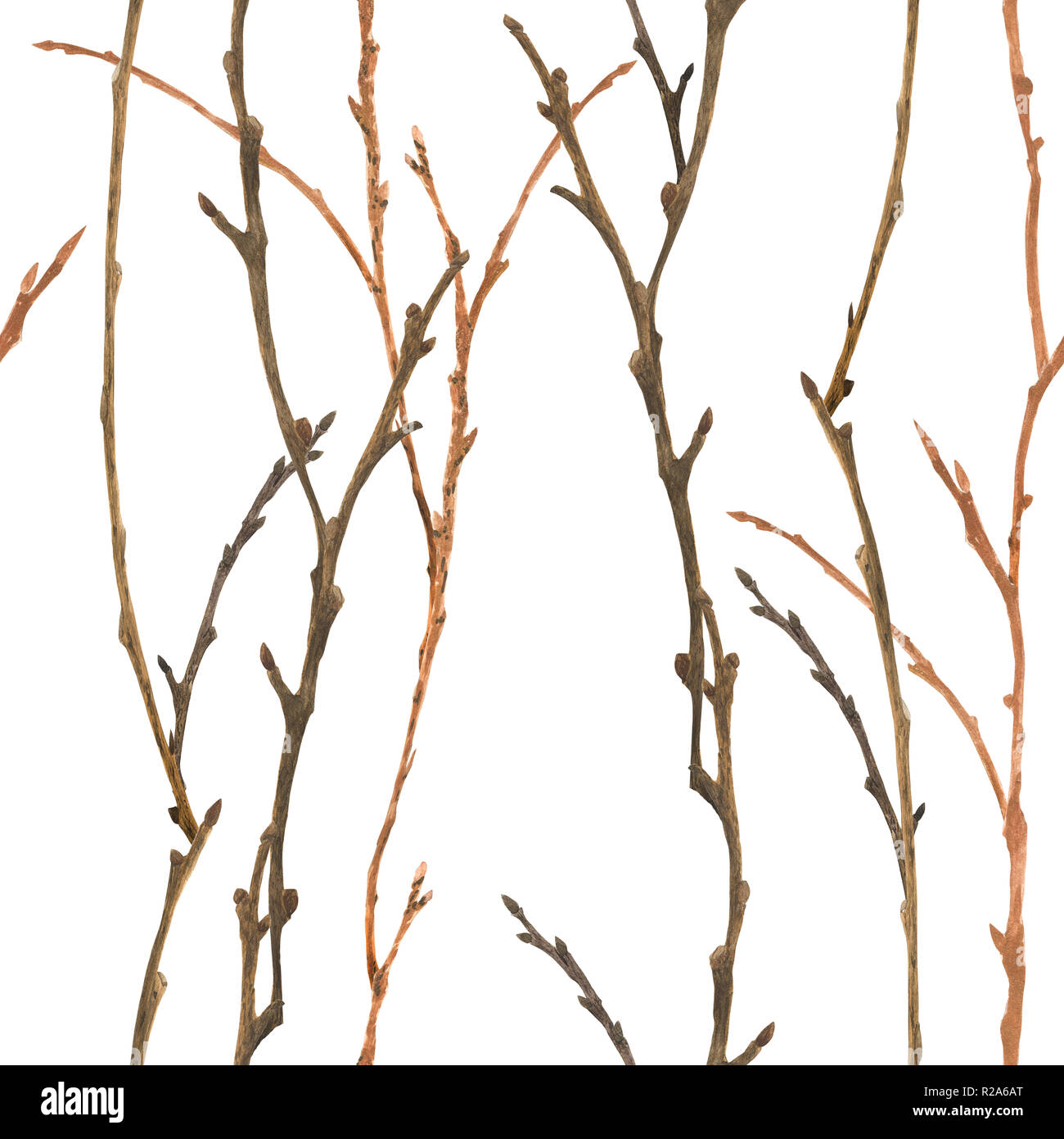 Botanical watercolor. Brown branches. Wild nature forest seamless ...