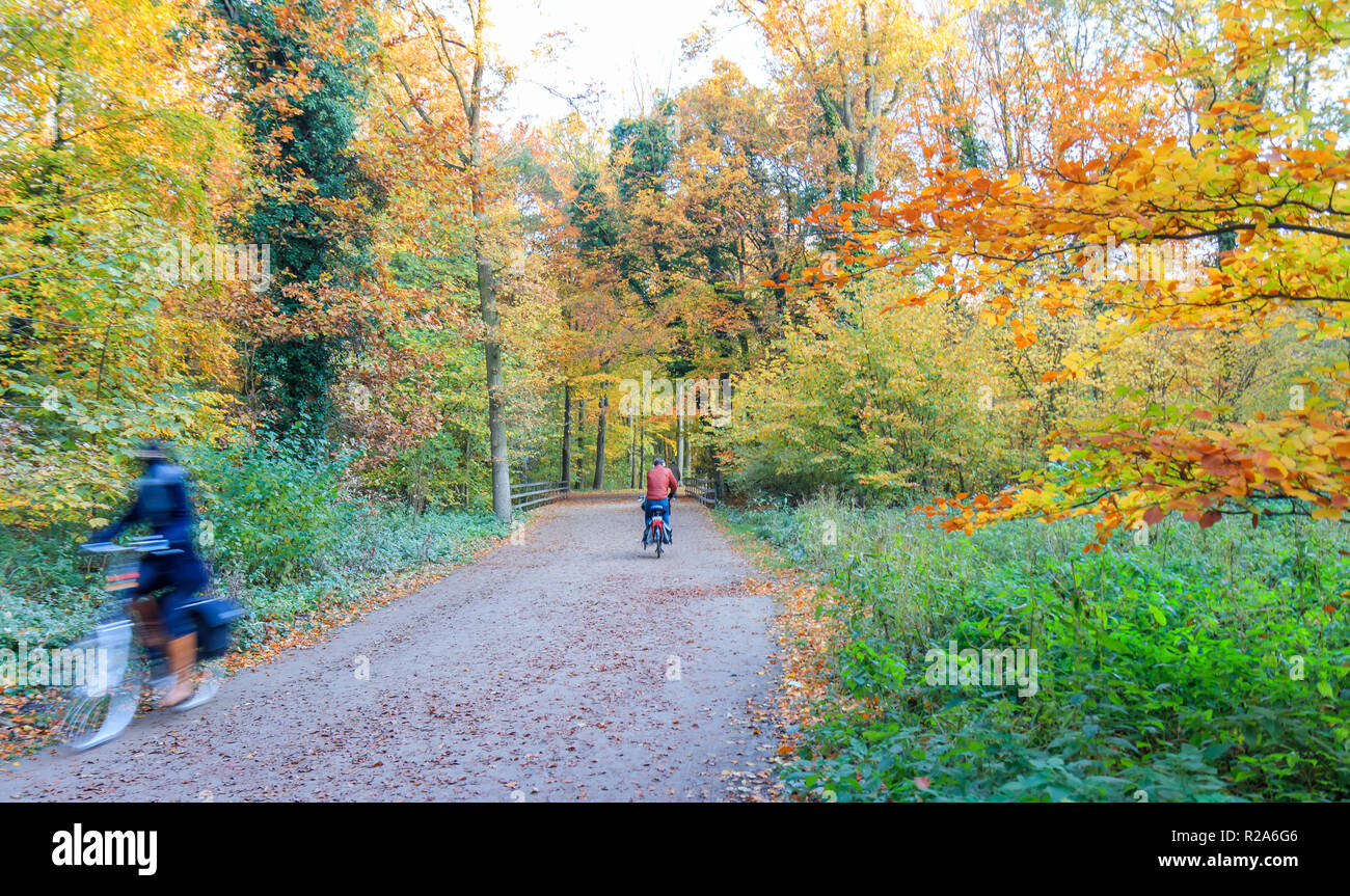 Haagse hout hi-res stock photography and images - Alamy