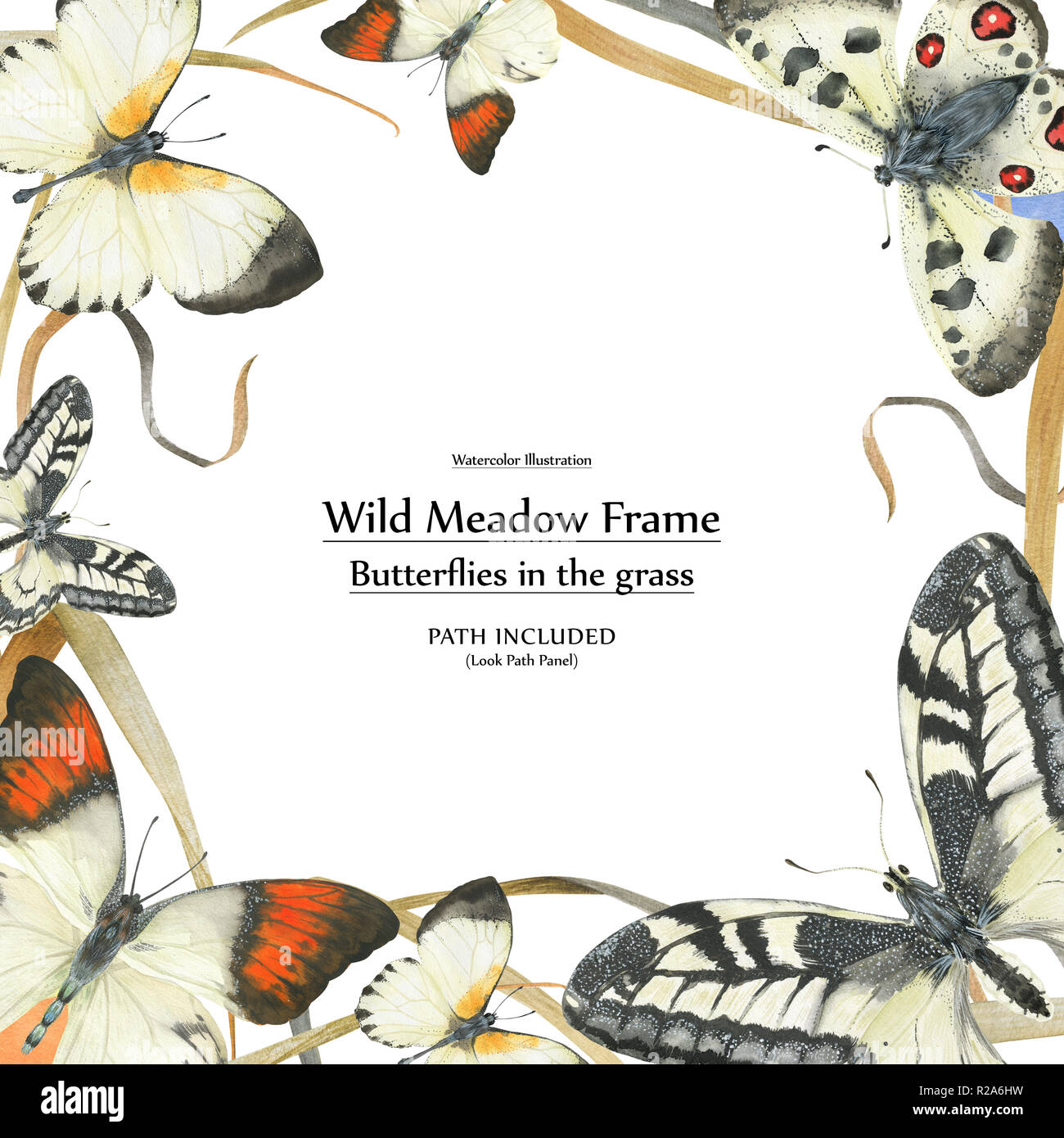Nature design by watercolor. Butterflies and plants square frame ...