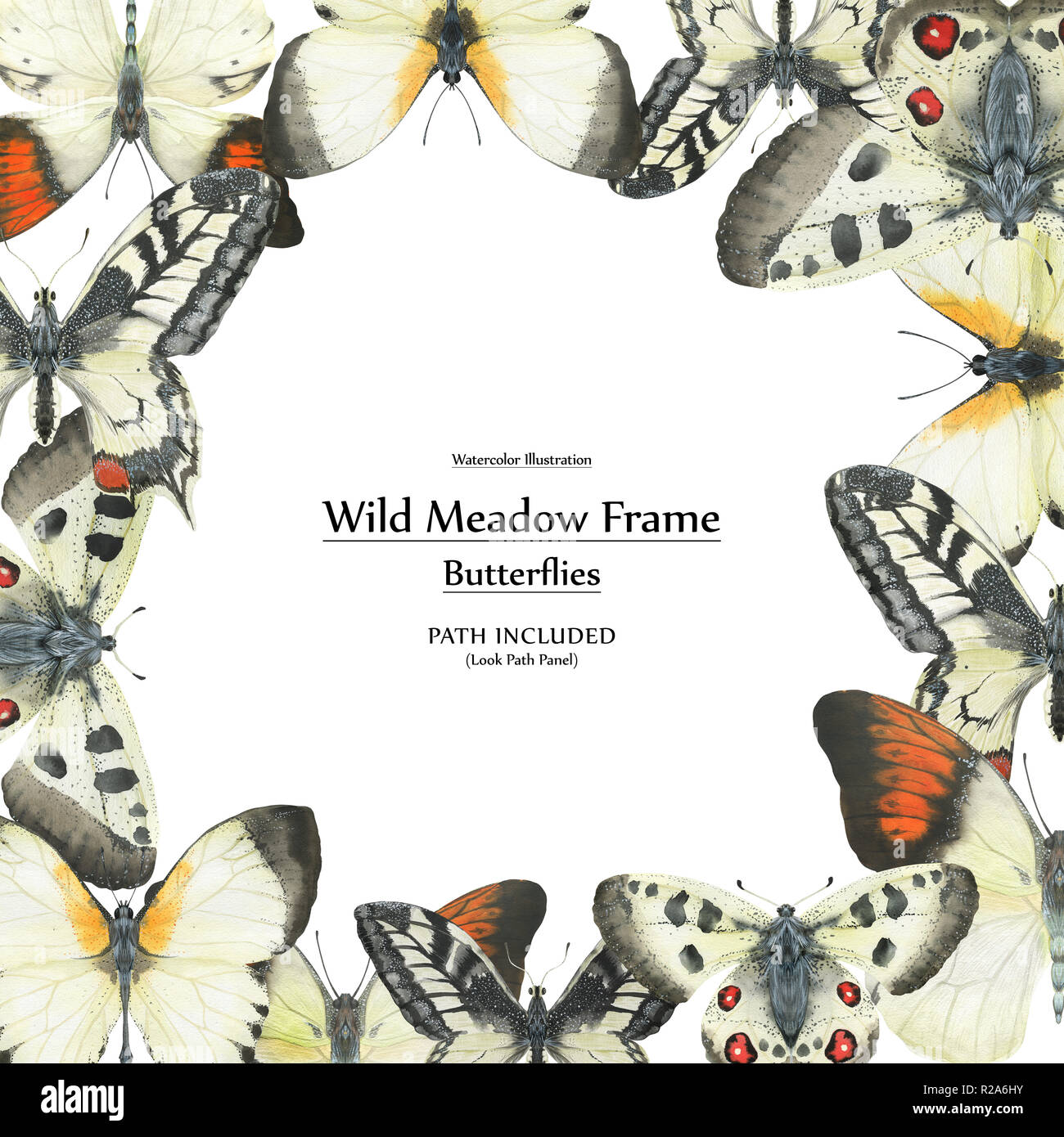 Nature design by watercolor. Butterflies and plants square frame ...