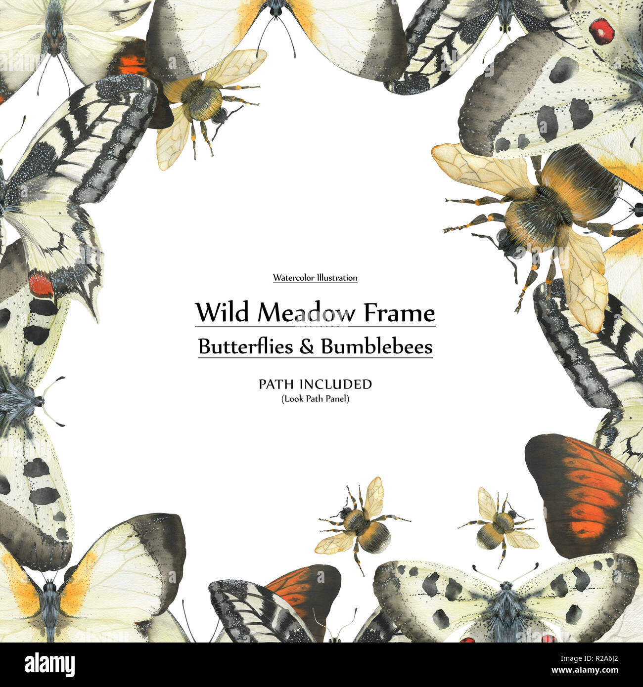 Nature design by watercolor. Butterflies and plants square frame ...