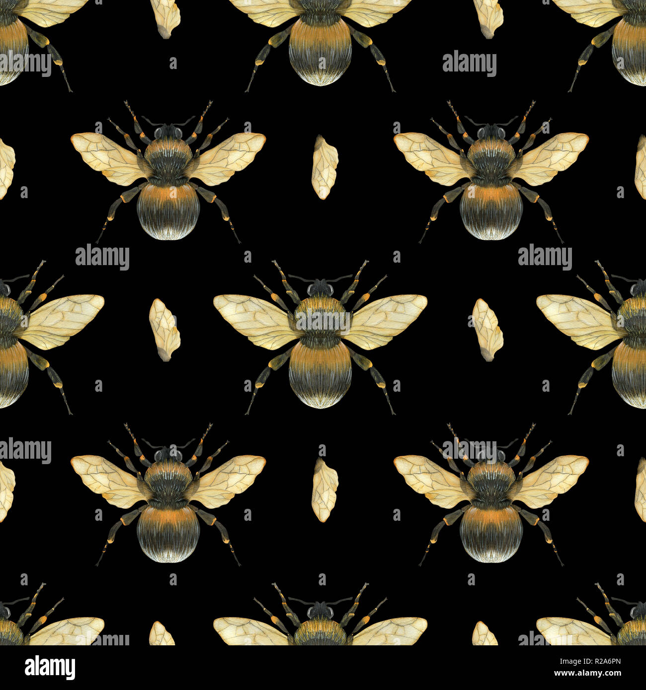 Watercolor seamless pattern Fat Fluffy Bumblebees. Realistic style ...
