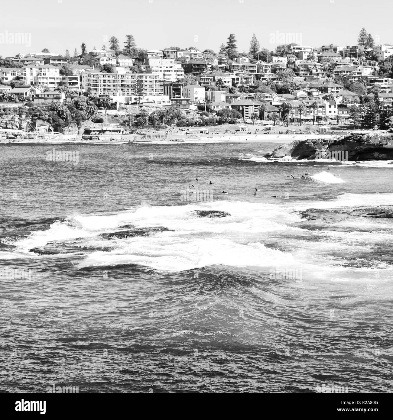 in australia sydney the bay the rock and the ocean near bondi beach ...