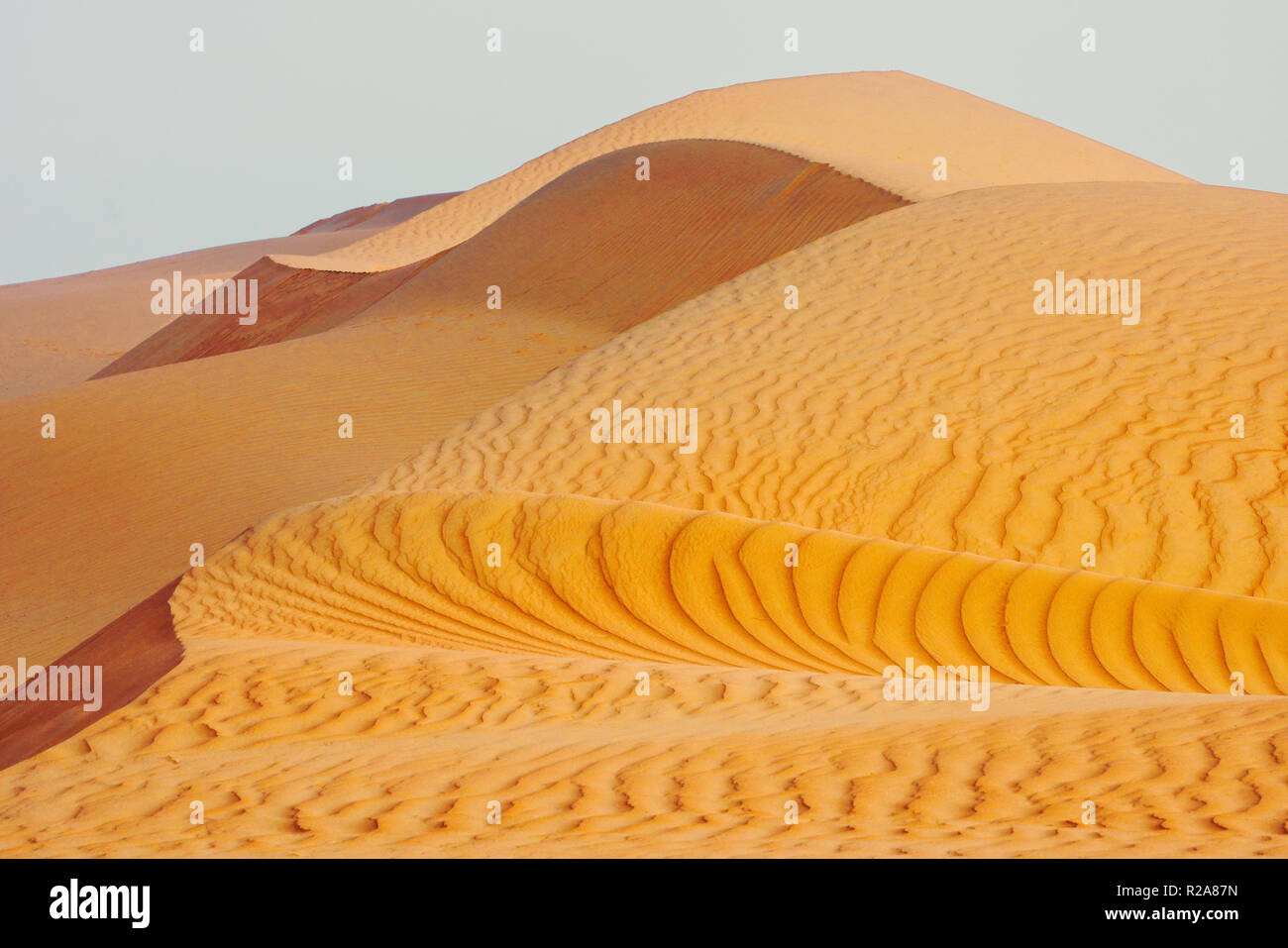 Sand dunes in Wahiba desert, Sultanate of Oman Stock Photo - Alamy