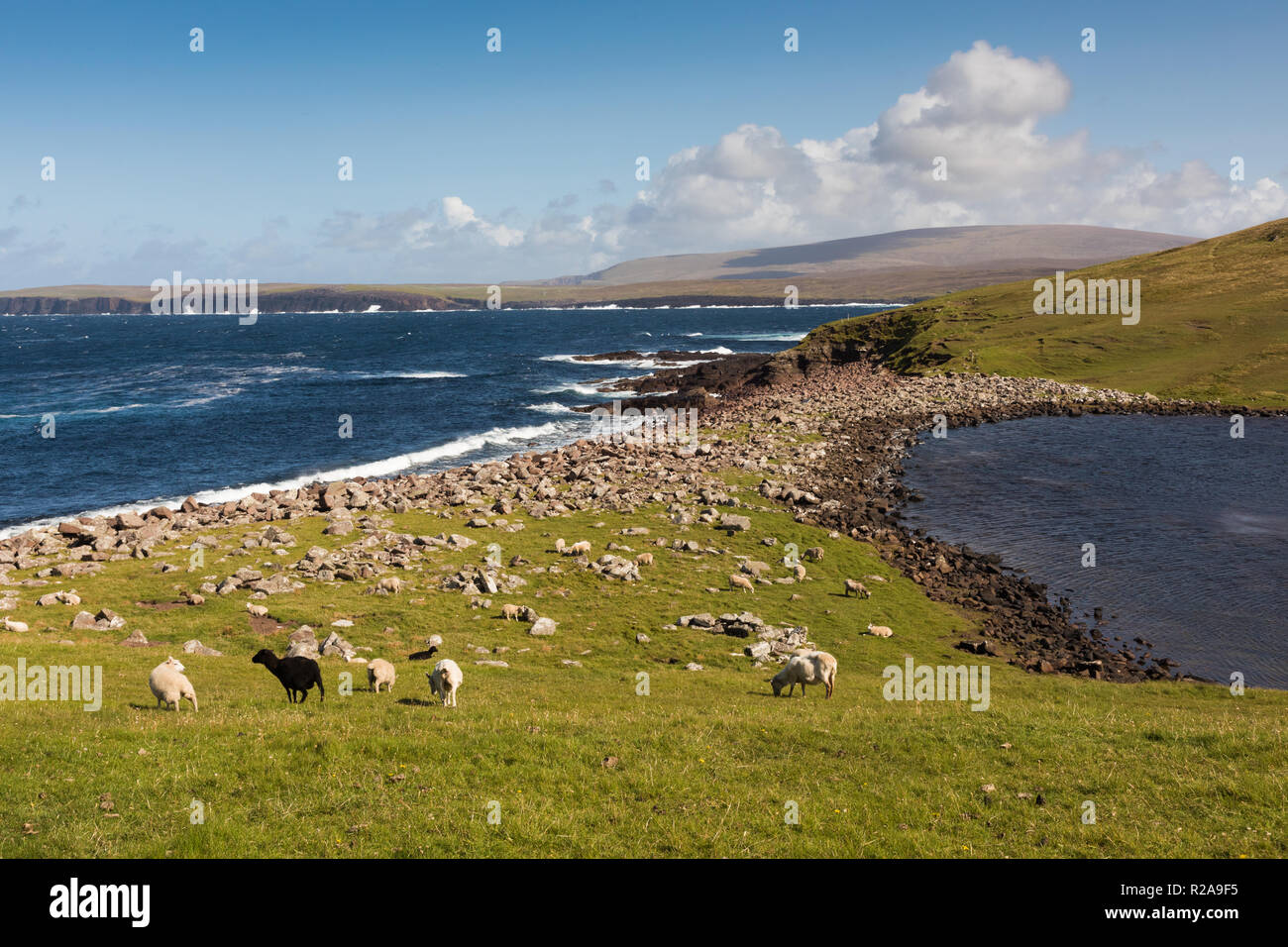 Coastal landscape, Eshaness, Shetland Stock Photo - Alamy