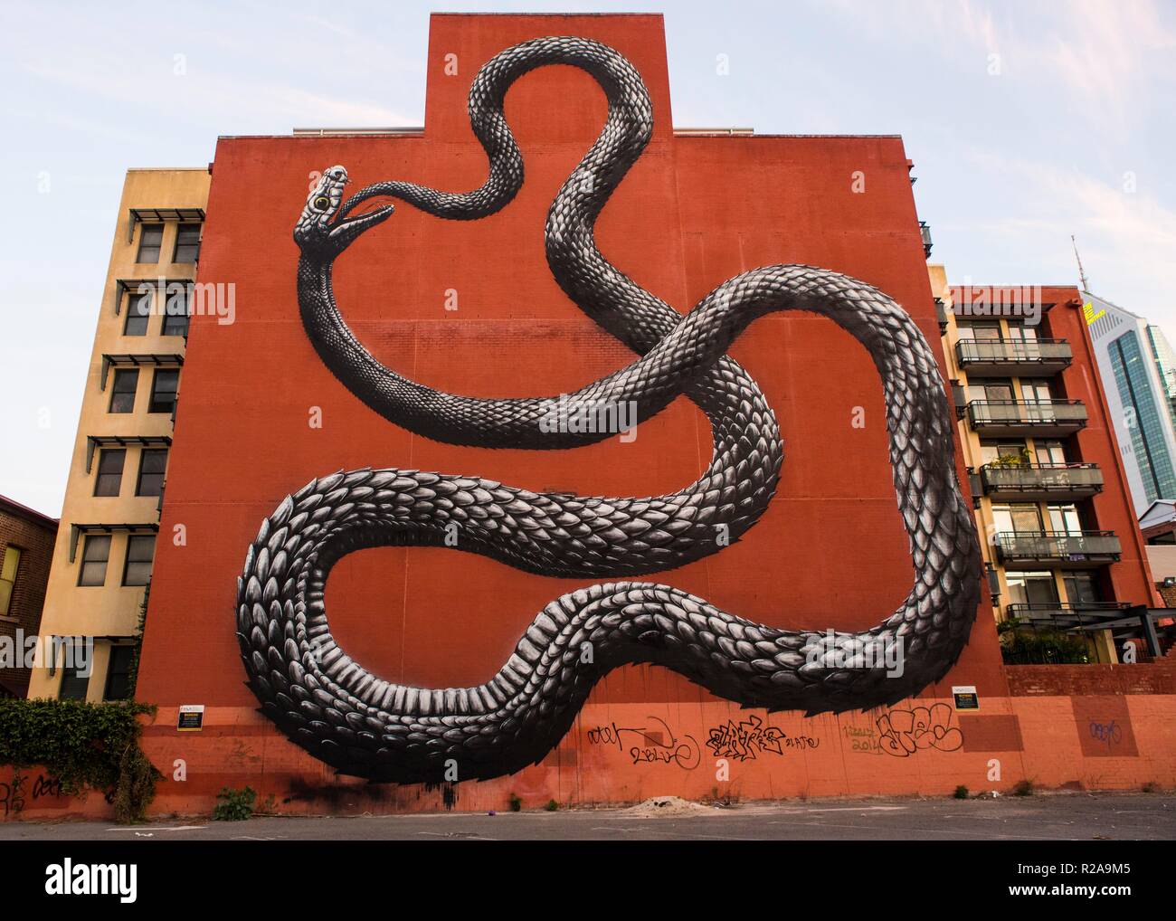 Snake Graffiti in Perth, Western Australia Stock Photo - Alamy