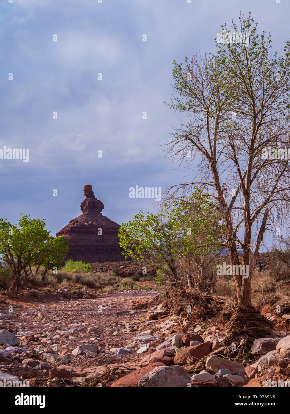 Setting Hen Butte, Valley of the Gods near Bluff, Utah Stock Photo - Alamy