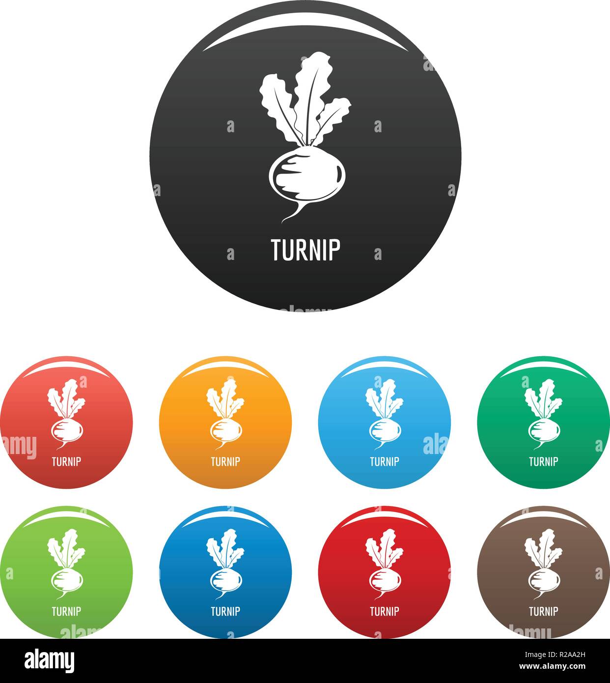 Turnip icon. Simple illustration of turnip vector icons set color ...