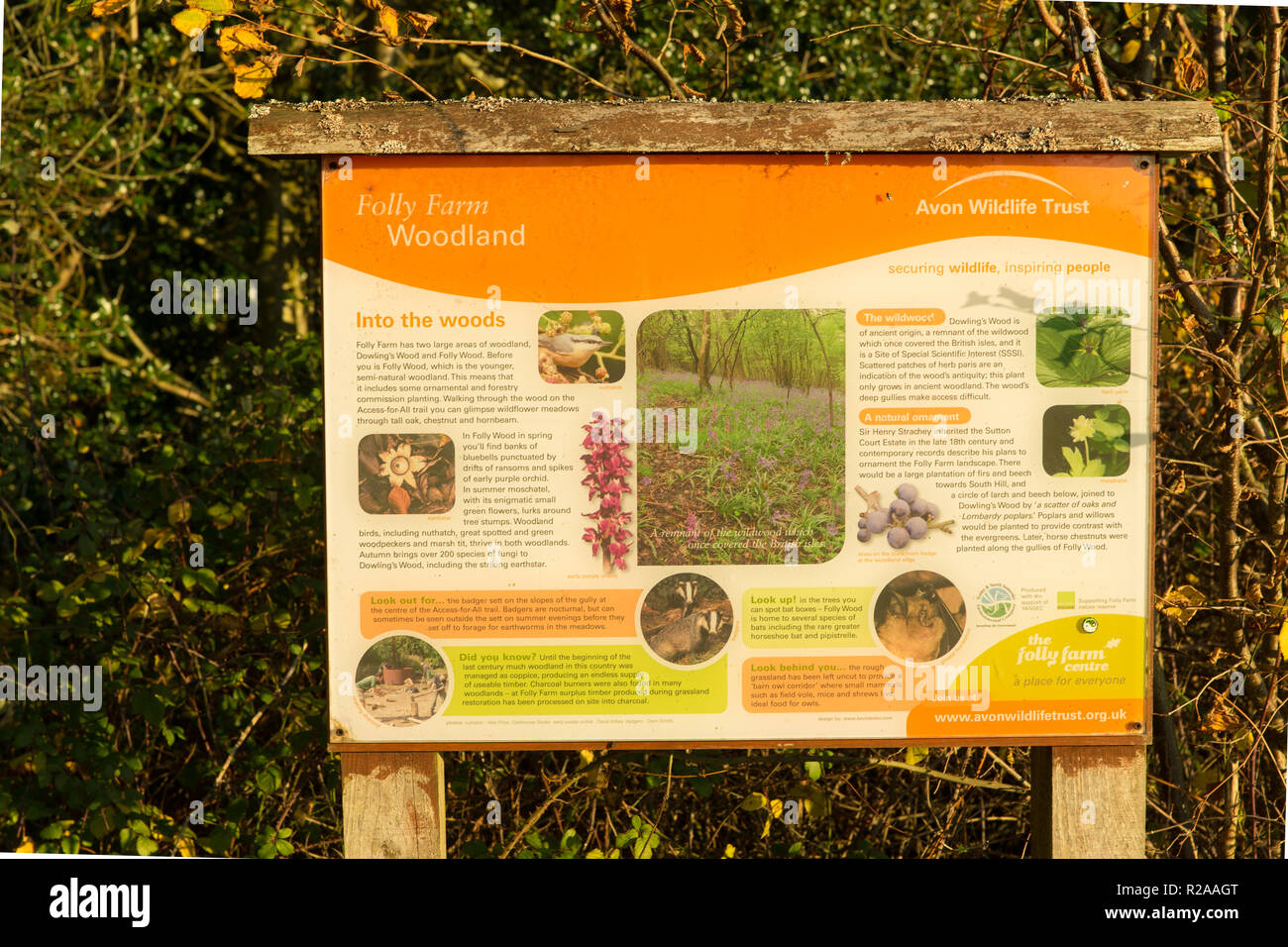 Folly farm centre hi-res stock photography and images - Alamy