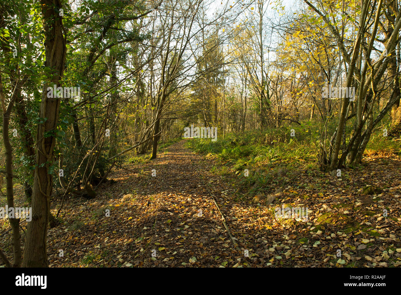 Folly Farm Centre near Bristol, view showing one of the walking routes ...