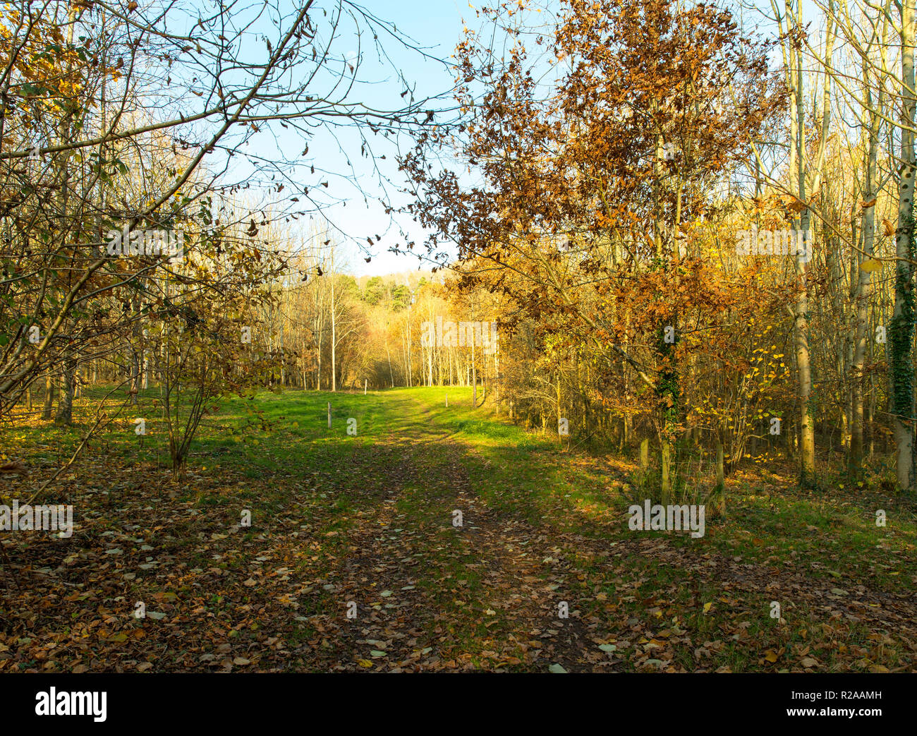 Folly Farm Centre near Bristol, start of path and walking routes ...