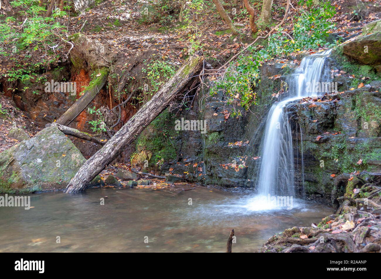 Waterfall in the woods Stock Photo - Alamy