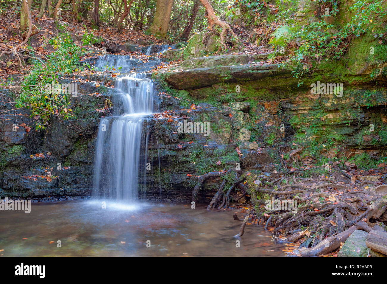 Waterfall in the woods Stock Photo - Alamy