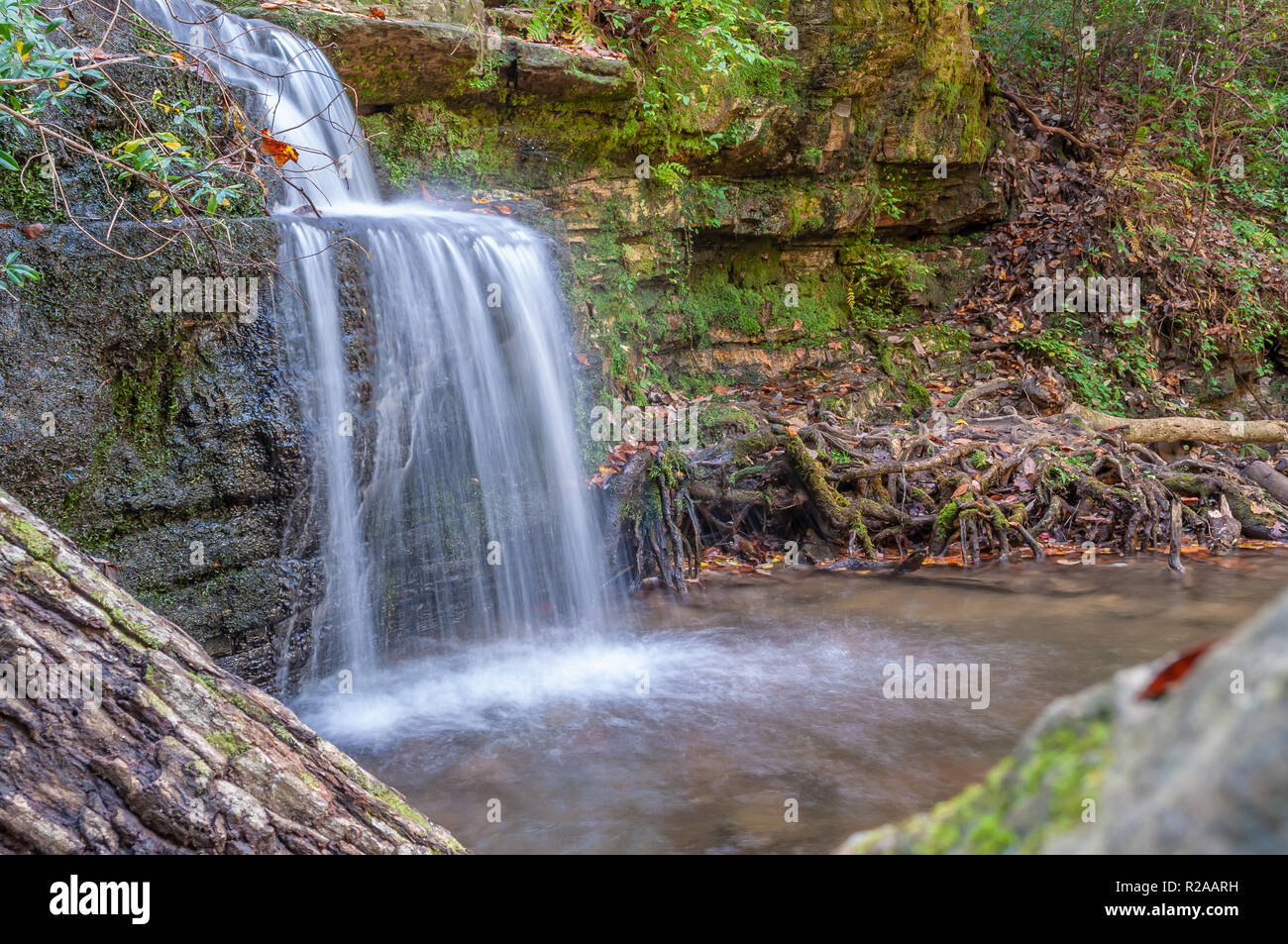 Waterfall in the woods Stock Photo - Alamy