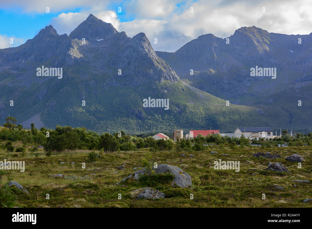 Mountain landscape at summer in Lofoten Islands. The beautiful nature ...