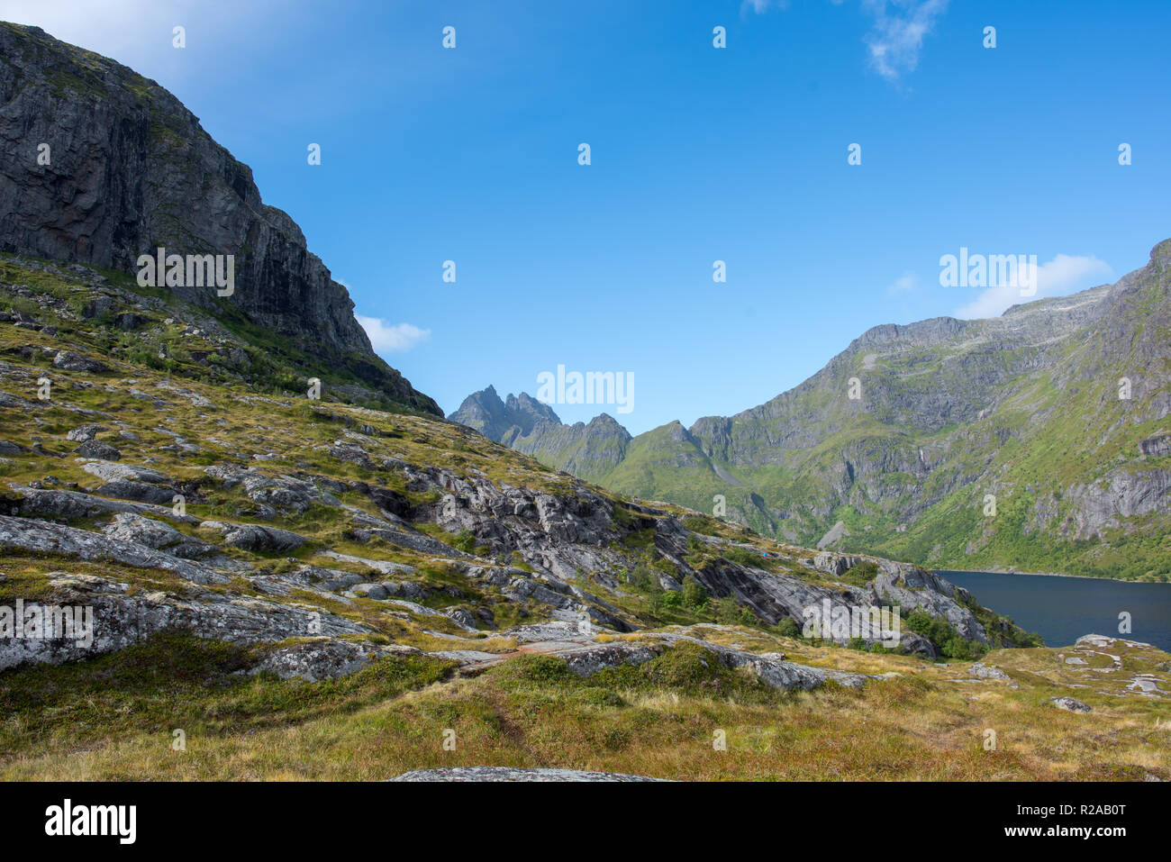 Mountain landscape at summer in Lofoten Islands. The beautiful nature ...
