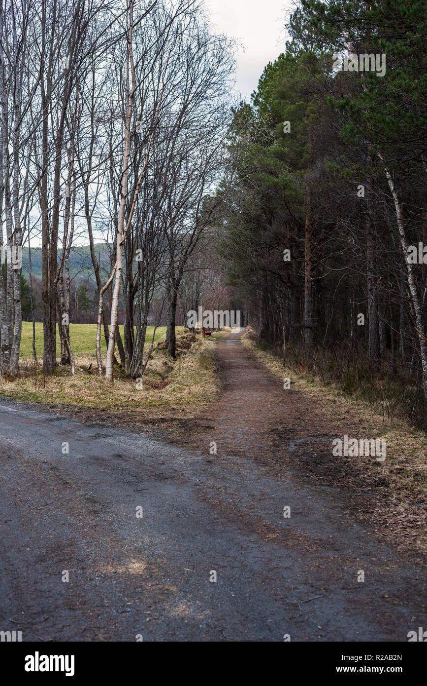 Crossroads forest hi-res stock photography and images - Alamy