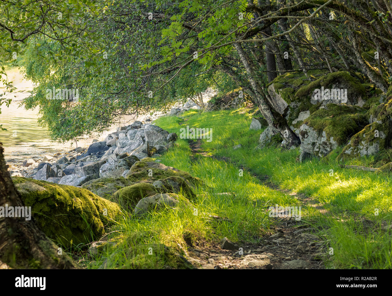 Beautiful pathway in the forest Stock Photo - Alamy