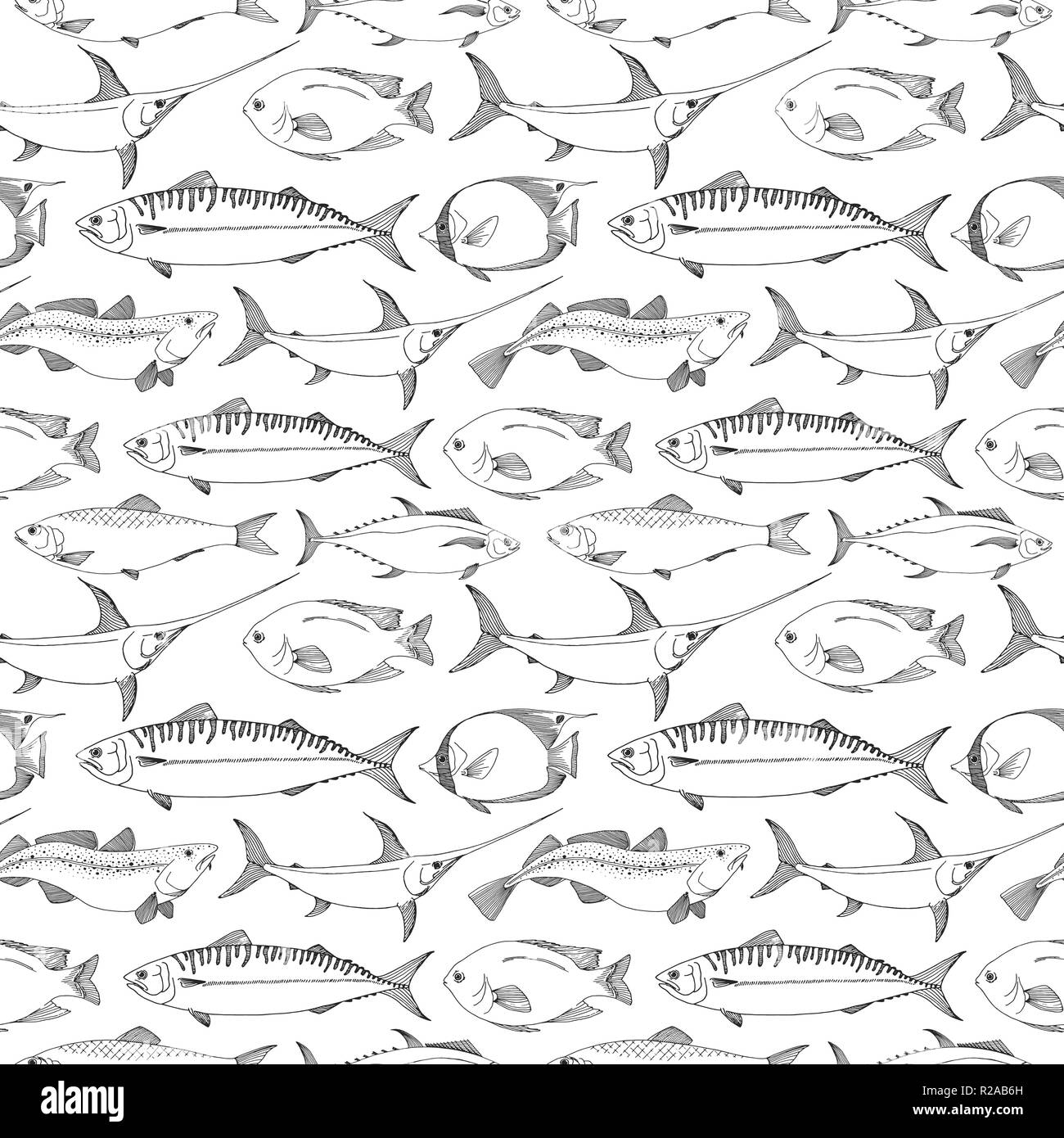 Seamless pattern different fishes hi-res stock photography and images ...