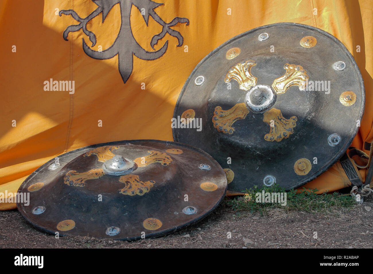 foreground of two medieval shield leaning against the side of a ...