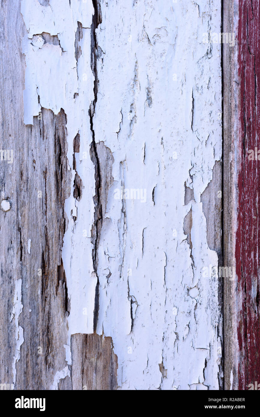 Crackled white paint on wooden wall Stock Photo - Alamy