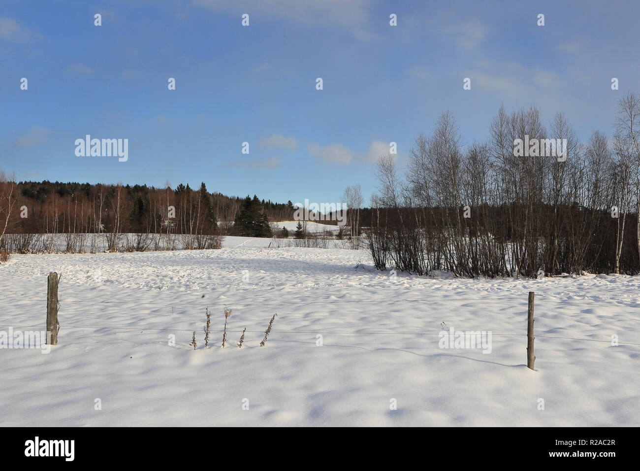 Snow covered farmland fields hi-res stock photography and images - Alamy