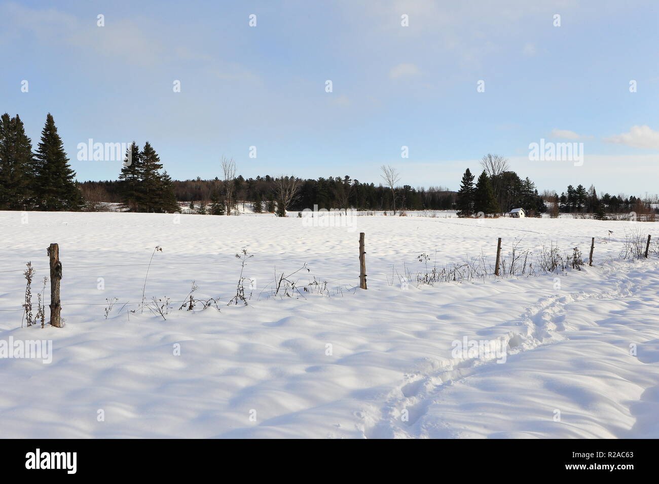 Fields trees canada hi-res stock photography and images - Alamy