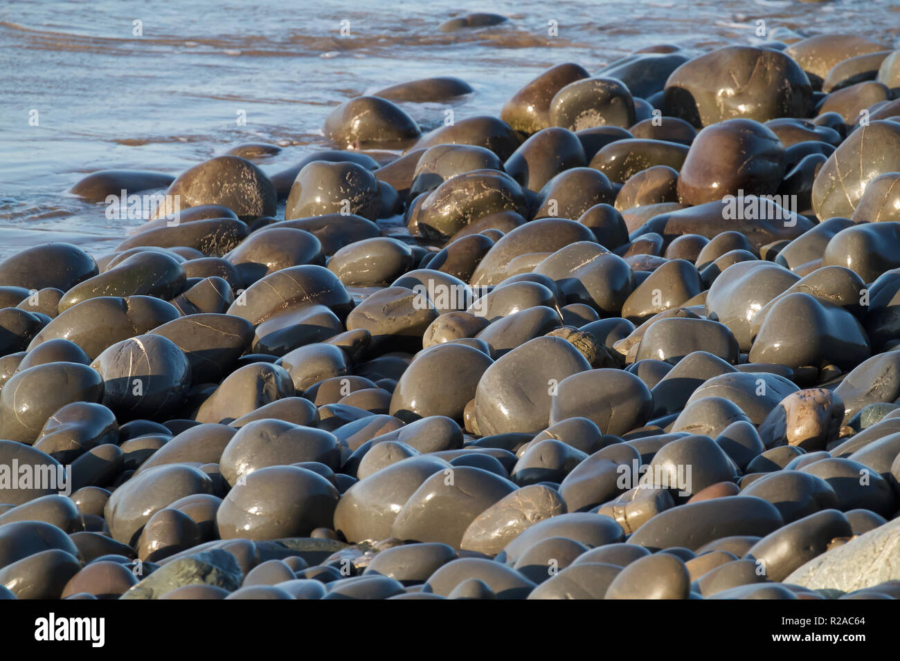 Large grey stone pebbles on Westward Ho! beach in Devon Stock Photo - Alamy