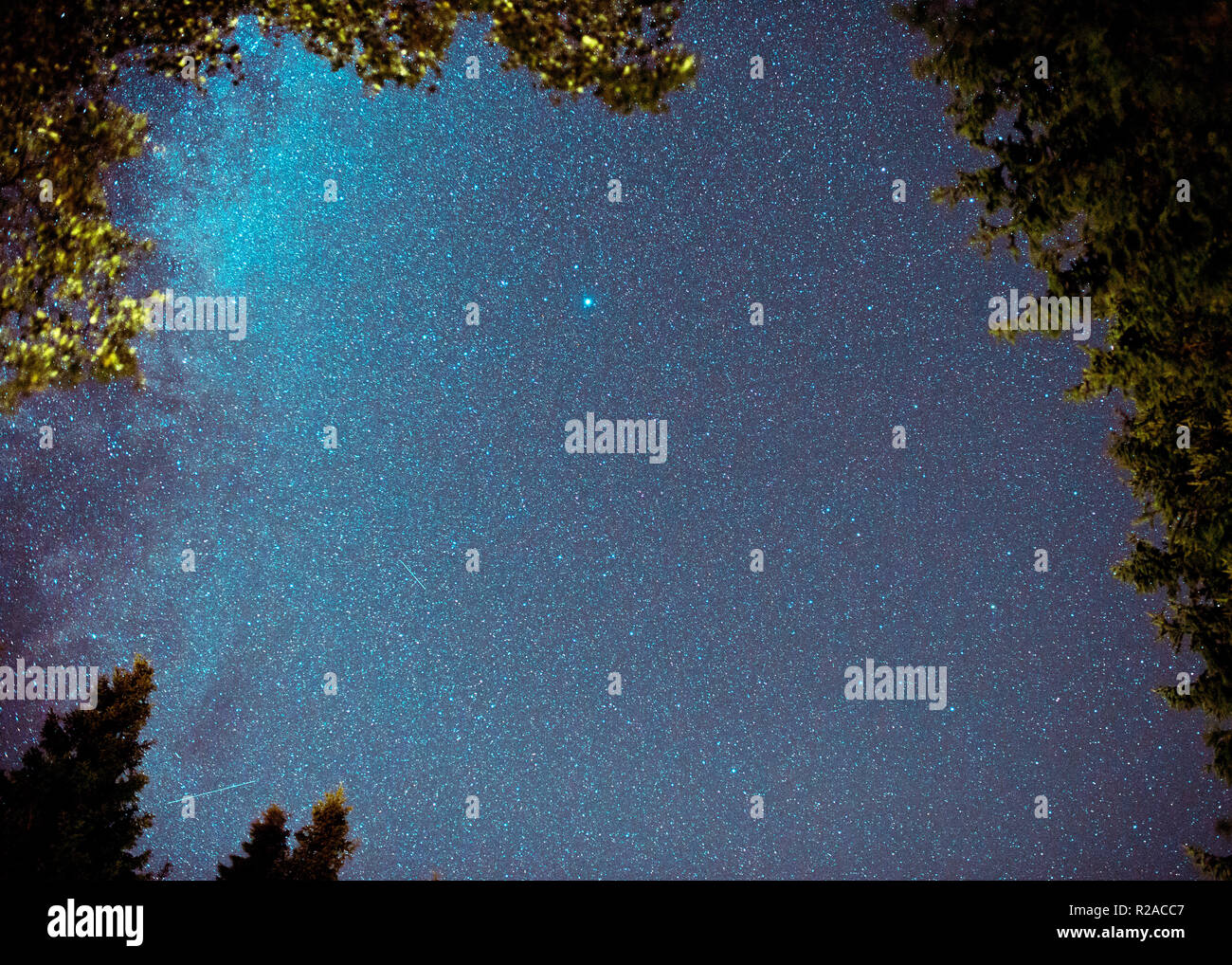 Kielder forest sky night hi-res stock photography and images - Alamy