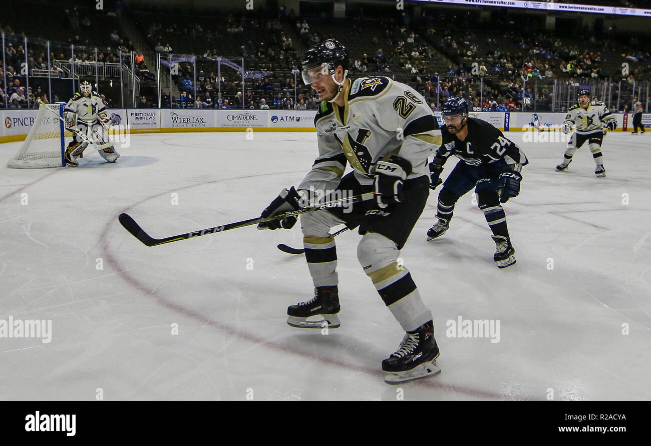 Wheeling Nailers defenseman Dane Birks (28) in front of Jacksonville ...