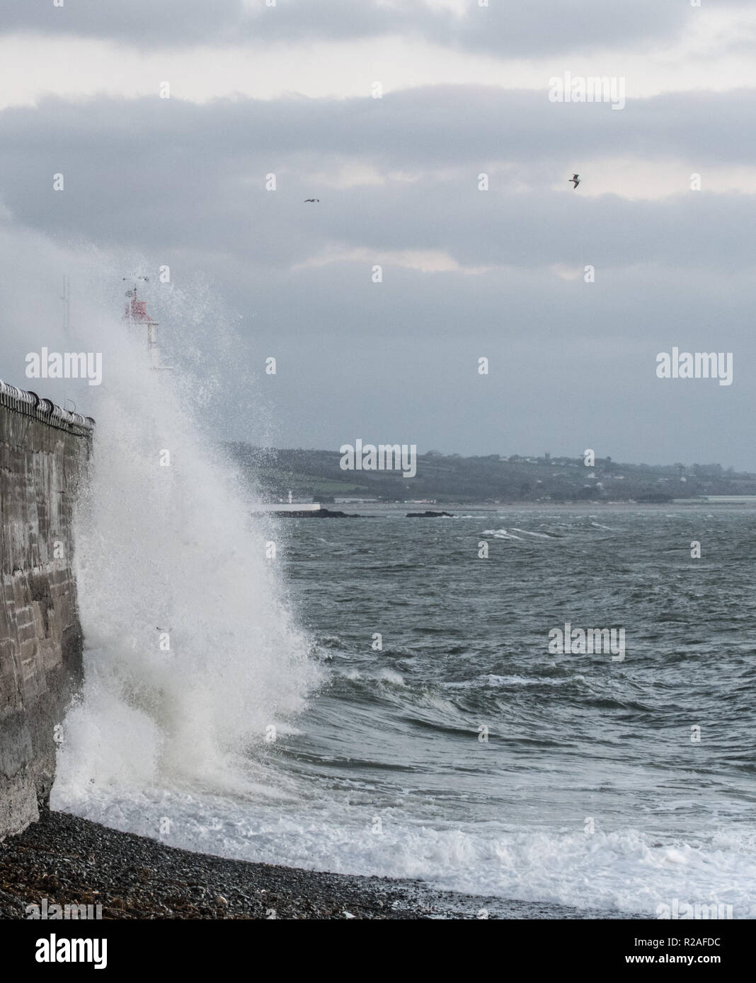 Newlyn east hi-res stock photography and images - Alamy