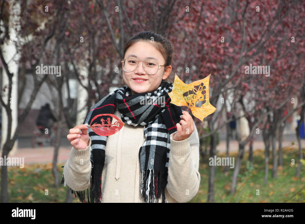 Dezh, Dezh, China. 18th Nov, 2018. Dezhou, CHINA-College students make ...