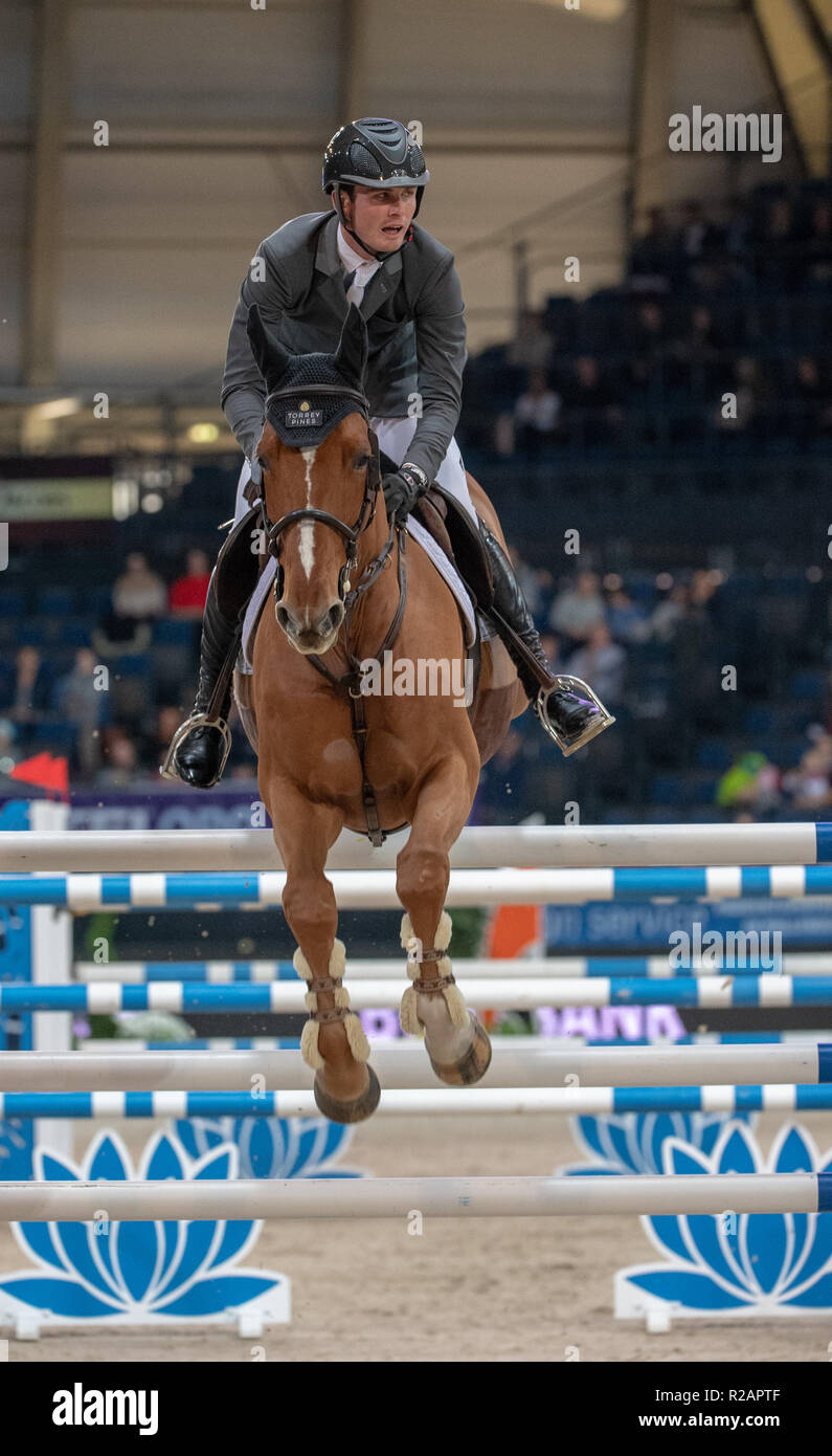 Stuttgart, Germany. 18th Nov, 2018. 34th International Horse Show ...