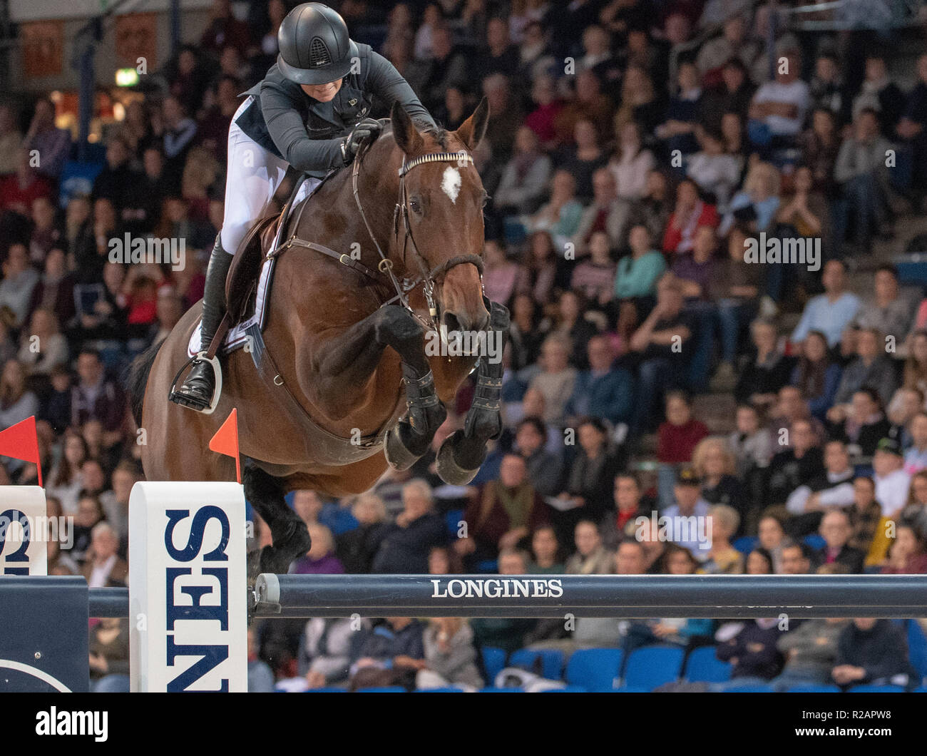 Stuttgart, Germany. 18th Nov, 2018. 34th International Horse Show ...