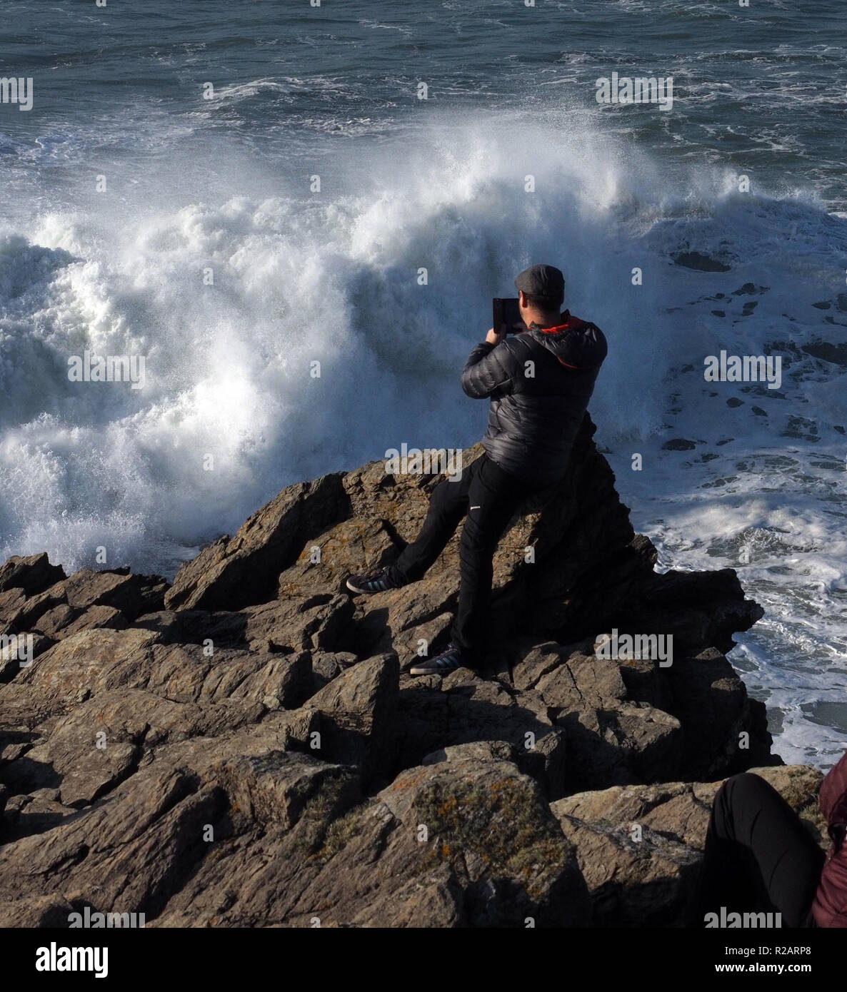 Headland hotel dog hi-res stock photography and images - Alamy