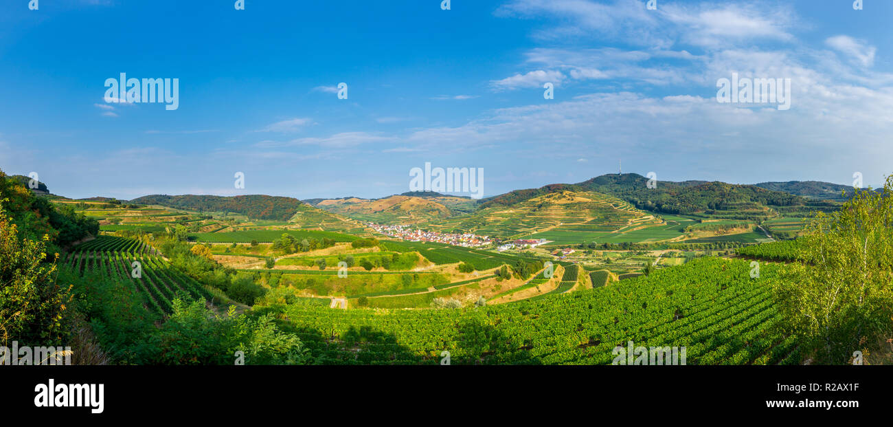 Germany, Oberbergen town producing high quality wine in Kaiserstuhl ...