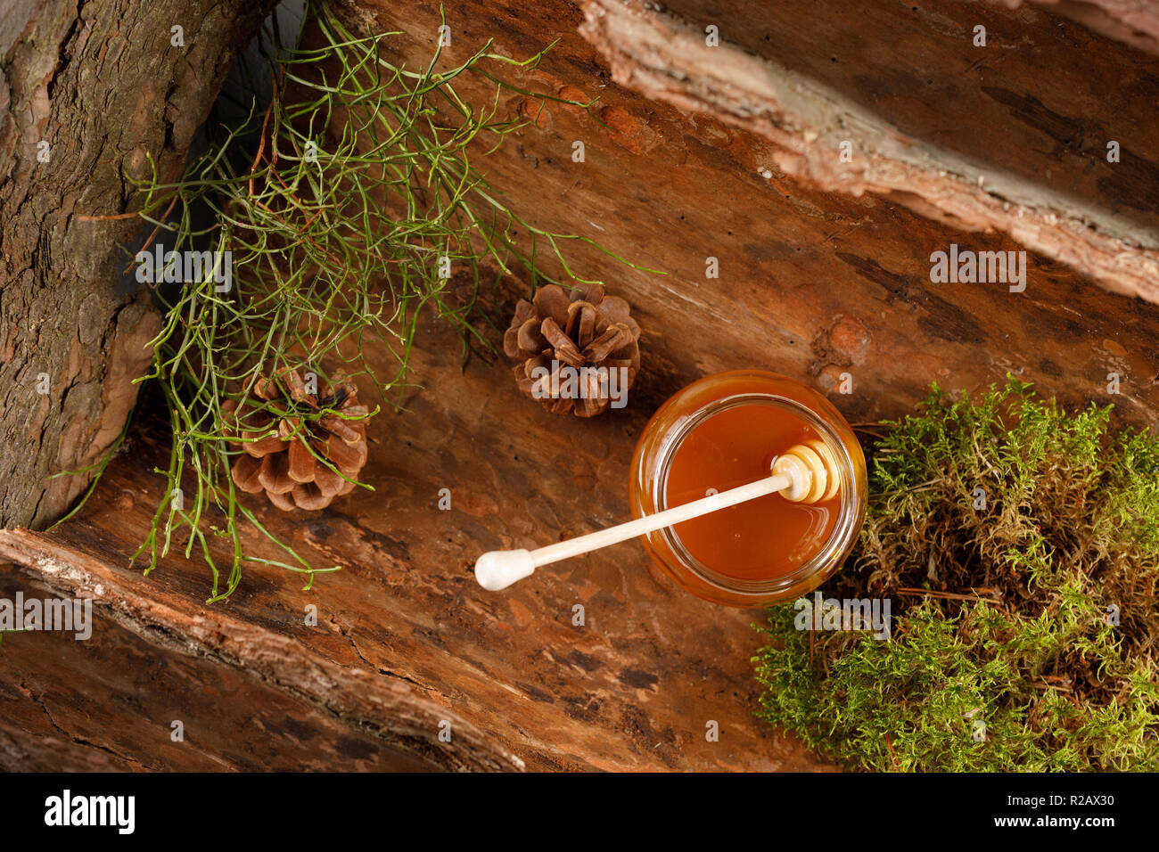 Honey in a glass jar. Taiga honey on tree bark. A jar of honey with ...