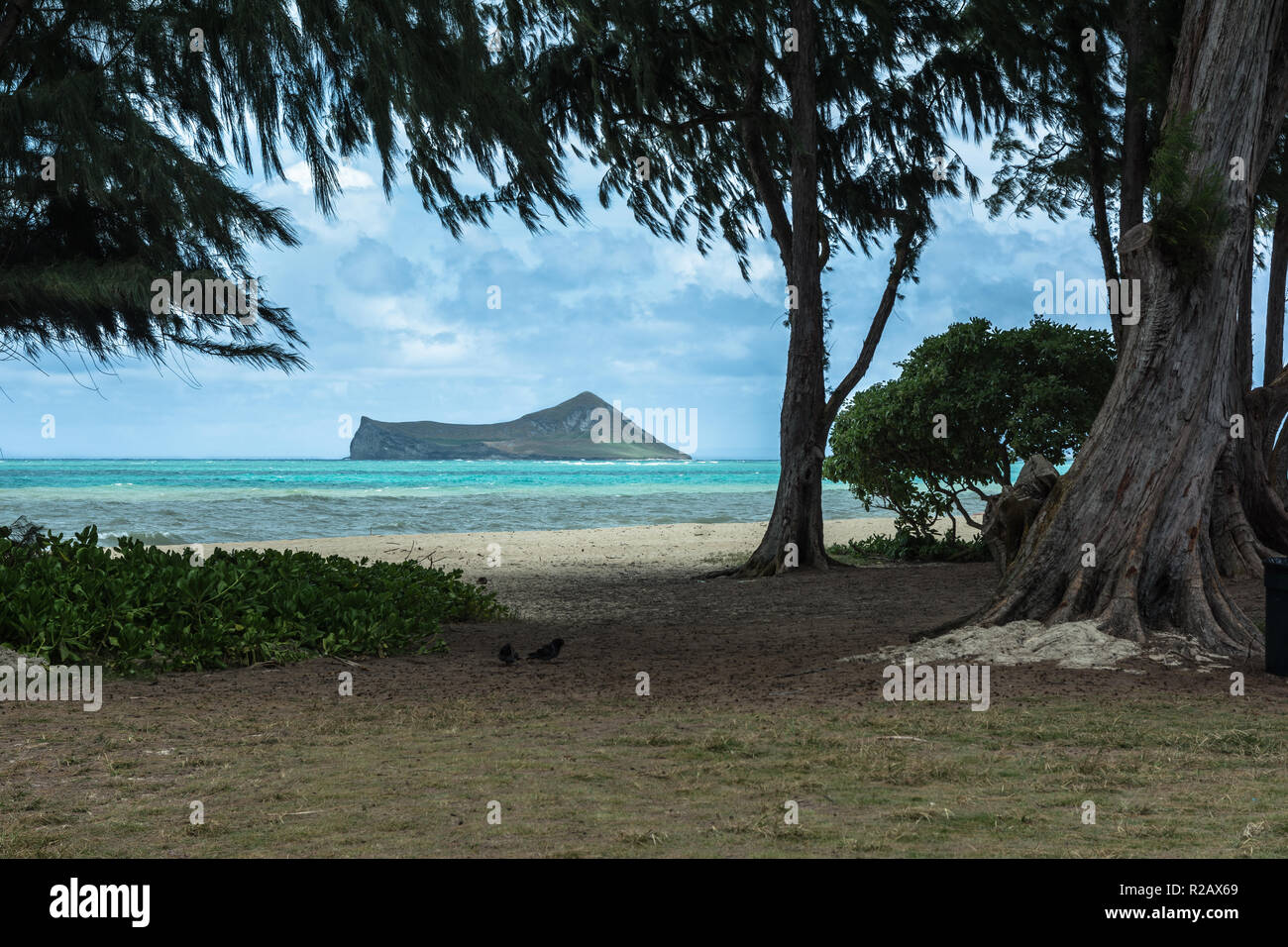 Rabbit Island view from Waimanalo Beach, Oahu, Hawaii Stock Photo - Alamy